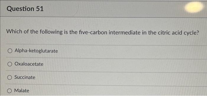 Solved Which of the following is the five-carbon | Chegg.com
