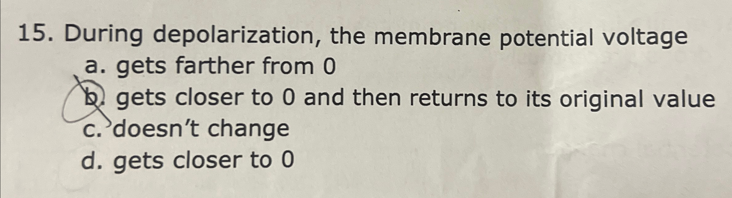 Solved During depolarization, the membrane potential | Chegg.com