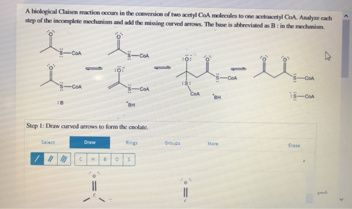 Solved A biological Claisen reaction occurs in the | Chegg.com