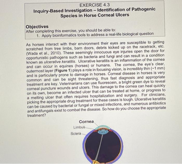 EXERCISE 4.3 Inquiry-Based Investigation - | Chegg.com