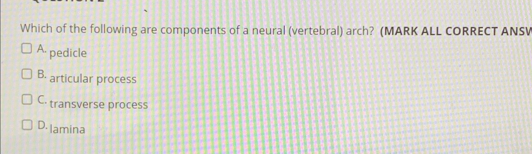Solved Which of the following are components of a neural | Chegg.com