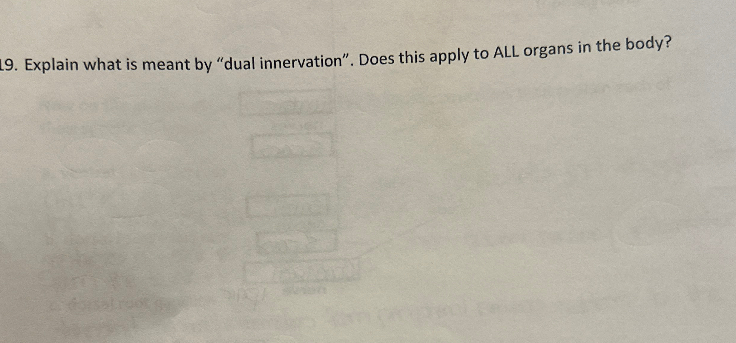 Solved Explain what is meant by "dual innervation". Does | Chegg.com