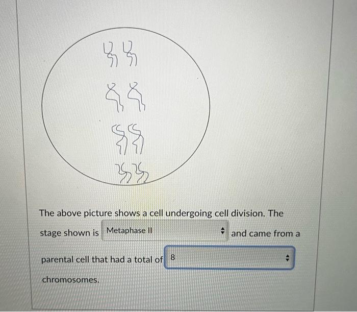 Solved The above picture shows a cell undergoing cell | Chegg.com