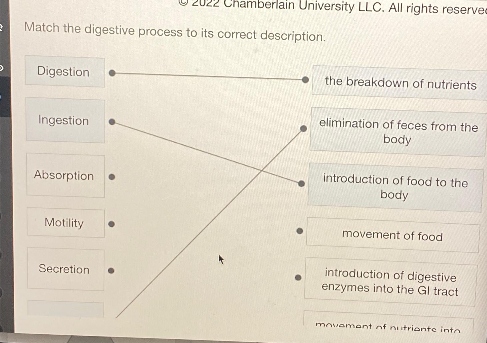 Solved Match the digestive process to its correct | Chegg.com