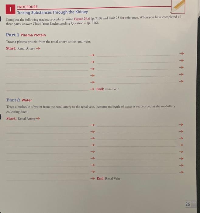 Solved Please I neede help tracing substances through the | Chegg.com