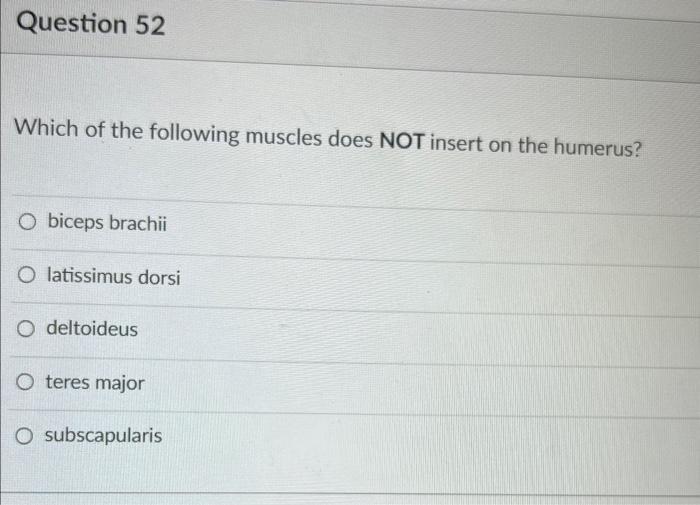 Solved Which of the following muscles does NOT insert on the | Chegg.com