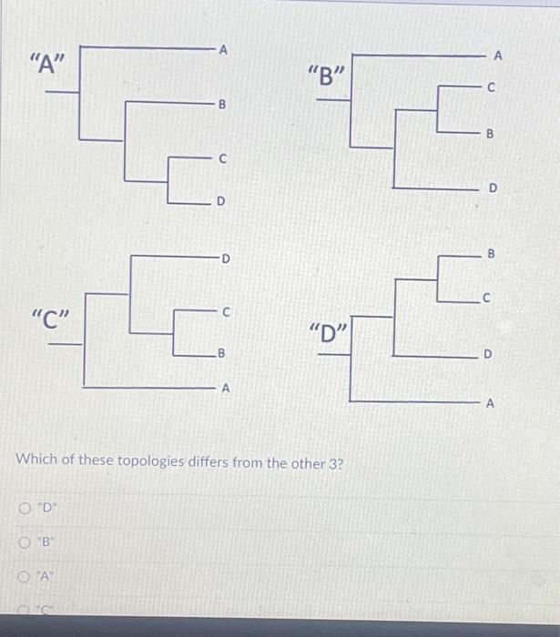 Solved Which of these topologies differs from the other 3 ? | Chegg.com