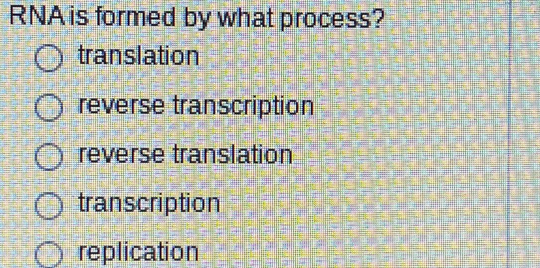 Solved RNA is formed by what process?translationreverse | Chegg.com