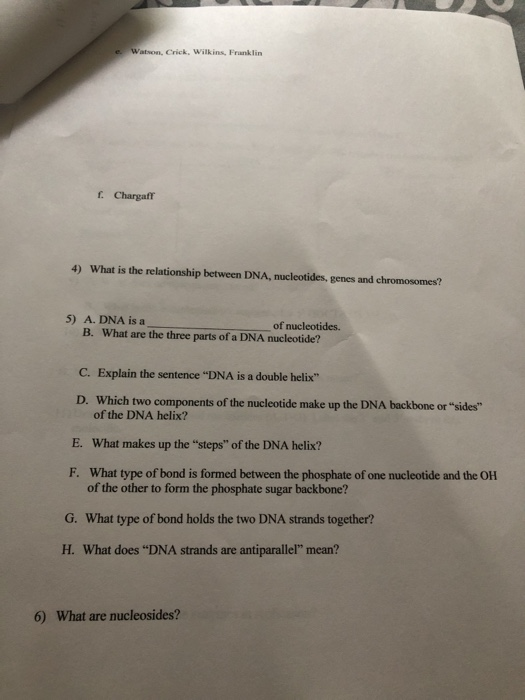 Solved BIOL 150 Chapter 16 Homework Name: 1) In the early | Chegg.com