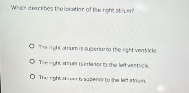 Solved Which describes the location of the right atrium?The | Chegg.com