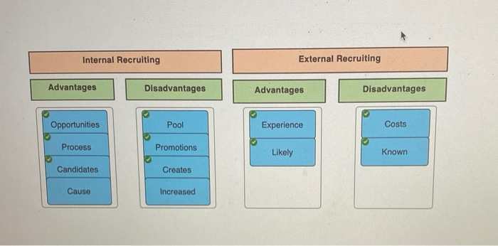 Solved Internal and External Recruiting Organizations have | Chegg.com