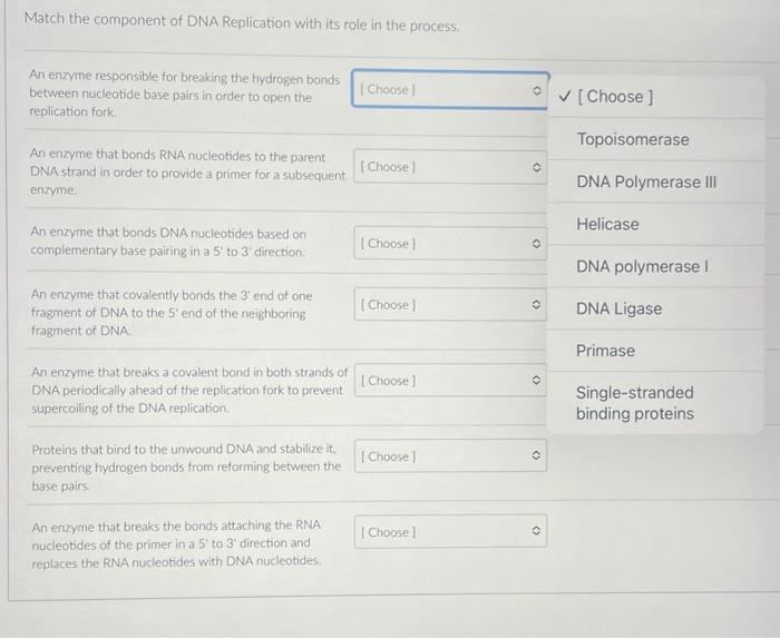 Solved Match the component of DNA Replication with its role | Chegg.com