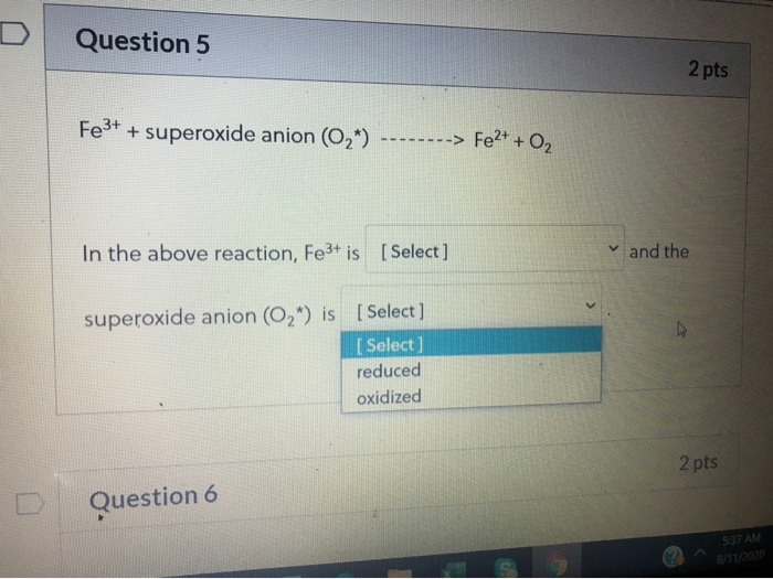 Solved 2 pts Fe3+ + superoxide anion (O2*) --------> Fe2+ + | Chegg.com