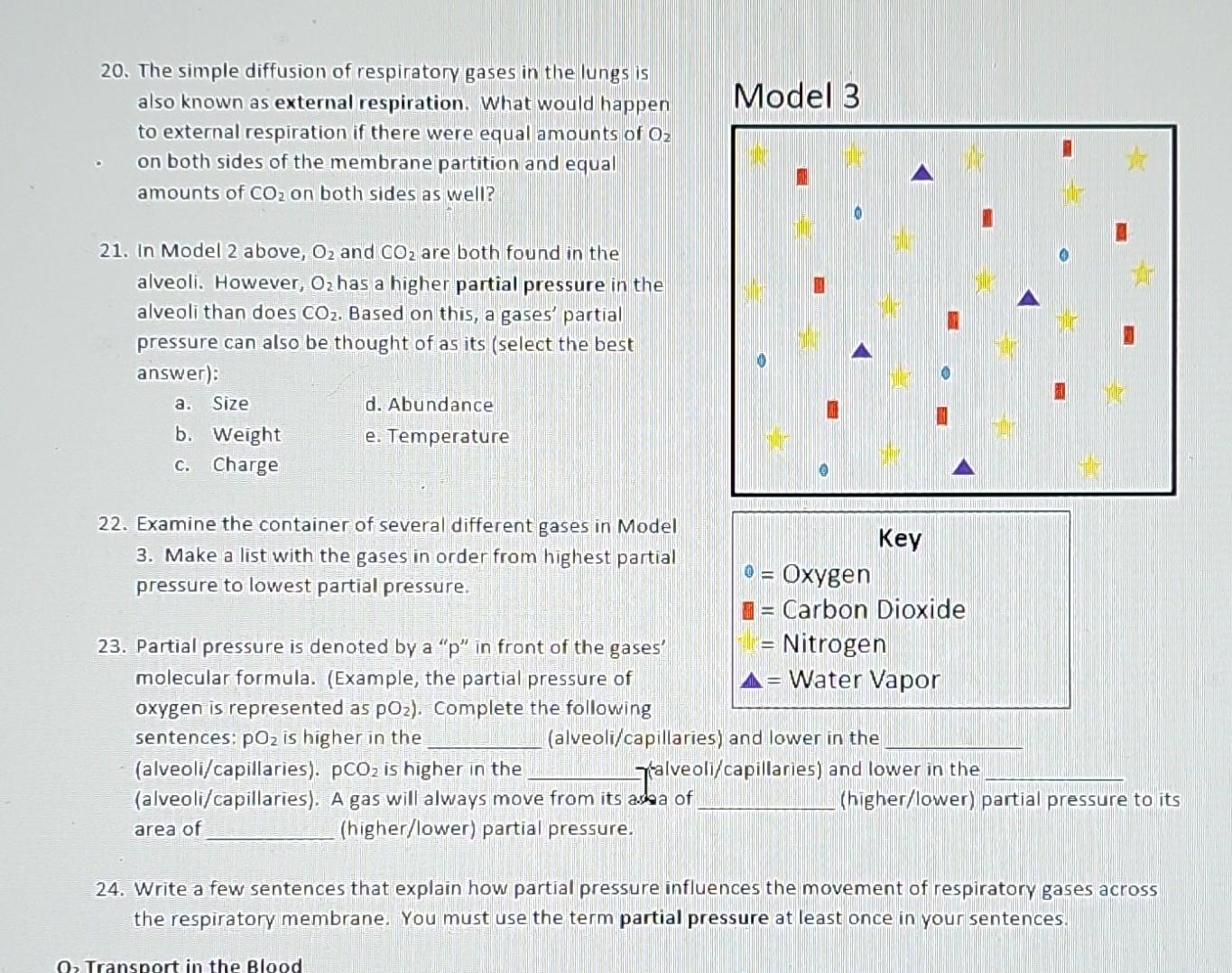 Solved 20. The simple diffusion of respiratory gases in the | Chegg.com