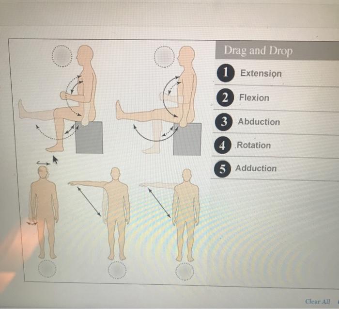 Solved help please my credit done that's the last one until | Chegg.com