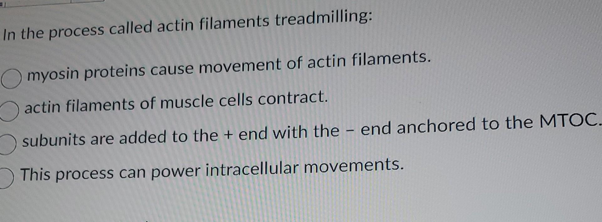 Solved In the process called actin filaments treadmilling: | Chegg.com