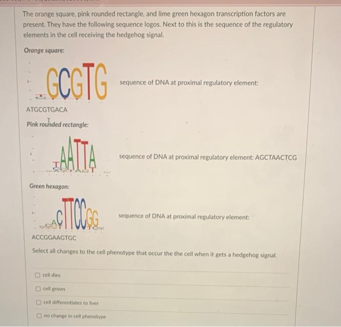 [Solved]: The orange square, pink rounded rectangle, and li