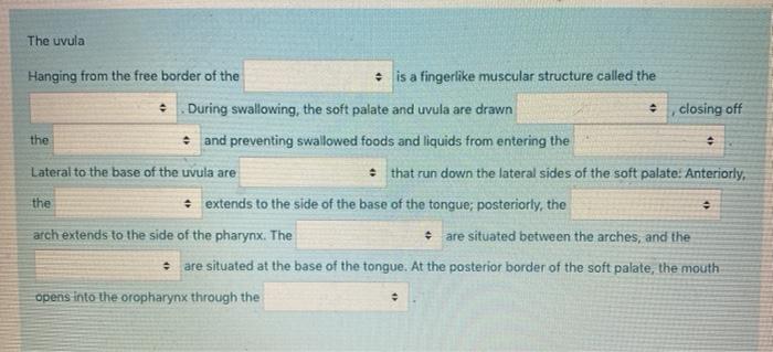 Solved The uvula Hanging from the free border of the • is a | Chegg.com