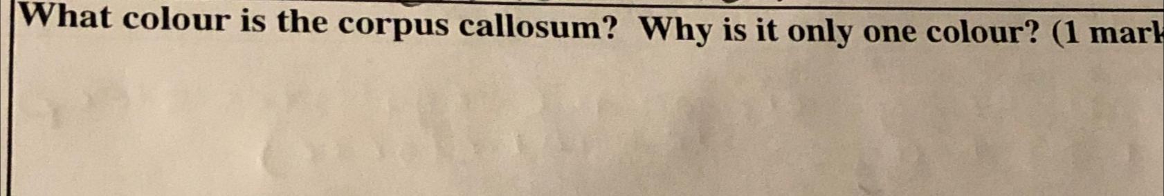 Solved What colour is the corpus callosum? Why is it only | Chegg.com