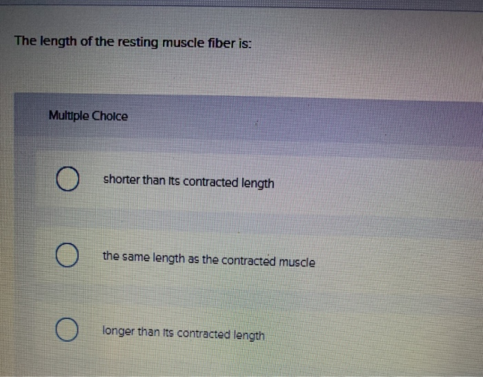 Solved The length of the resting muscle fiber is: Multiple | Chegg.com