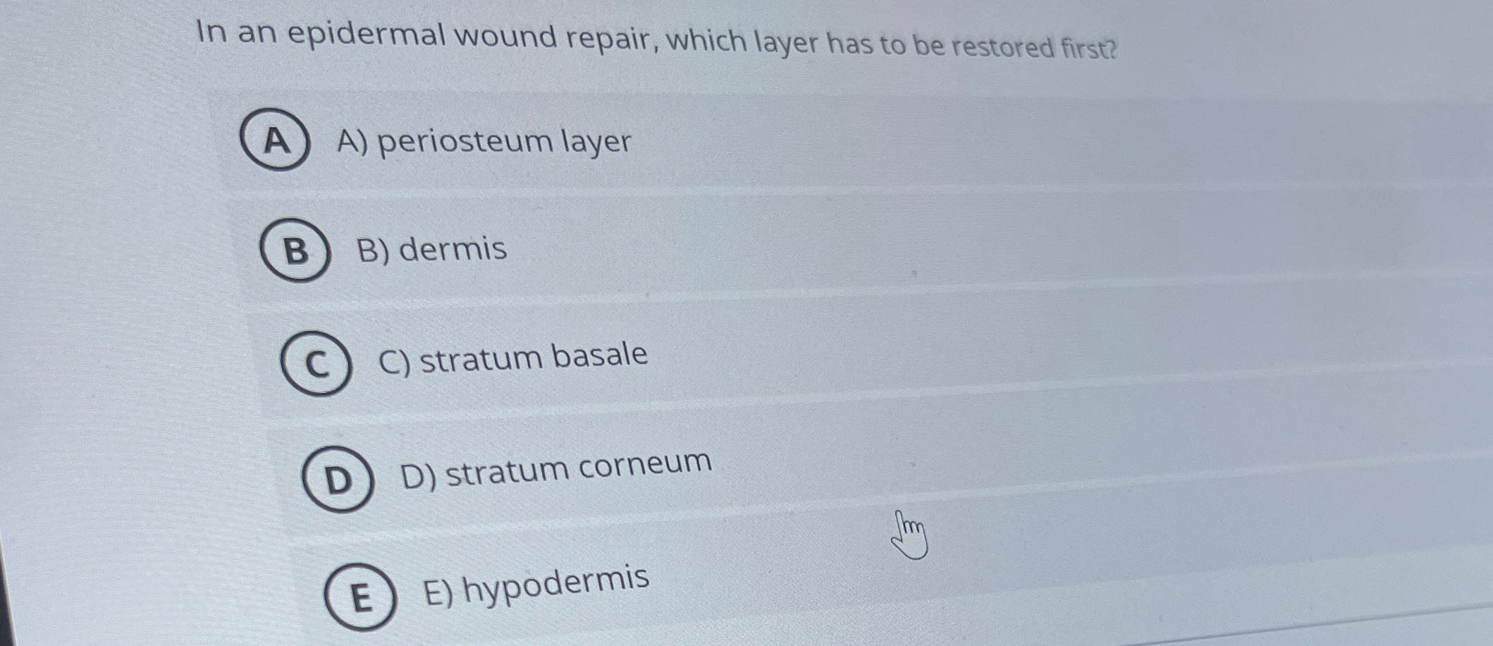 Solved In an epidermal wound repair, which layer has to be | Chegg.com