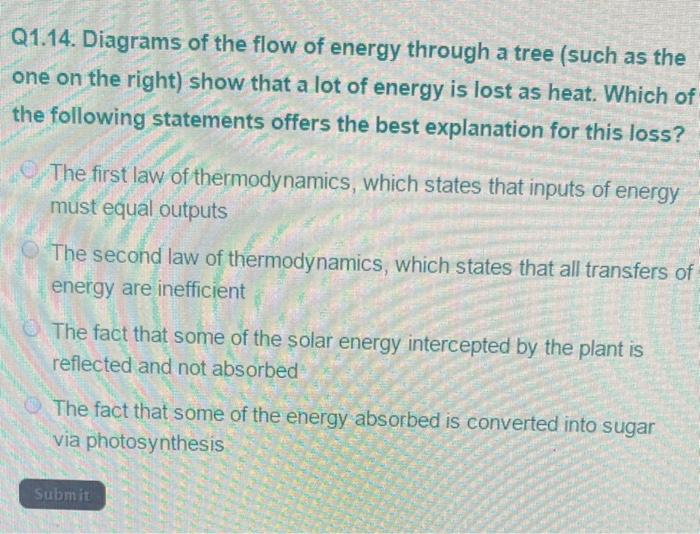 Solved Q1.14. Diagrams of the flow of energy through a tree | Chegg.com