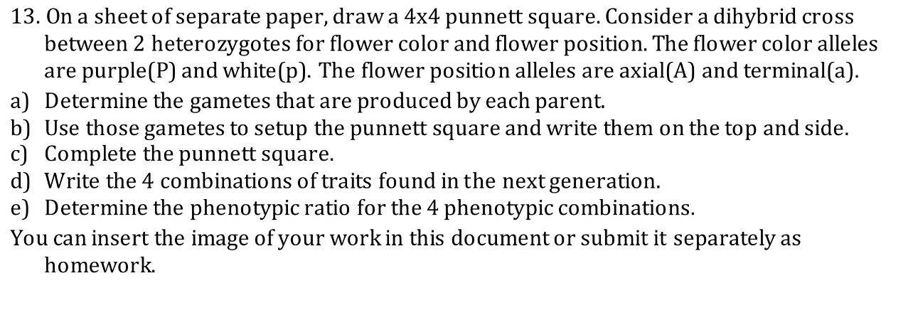 Solved On a sheet of separate paper, draw a 4×4 ﻿punnett | Chegg.com