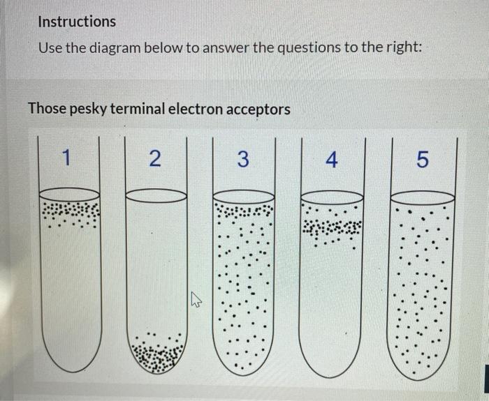 Solved Instructions Use the diagram below to answer the | Chegg.com