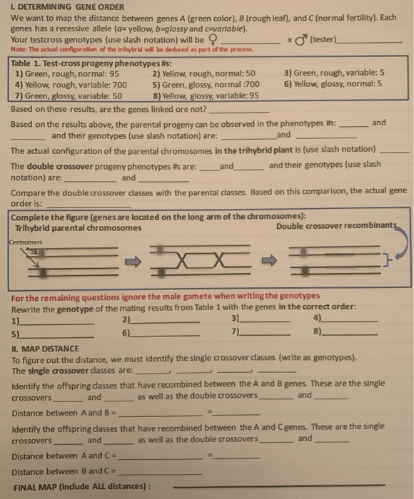Solved 1. DETERMINING GENE ORDER We want to map the distance | Chegg.com