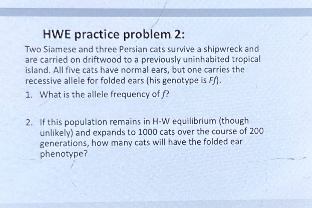 Solved HWE practice problem 2:Two Siamese and three Persian | Chegg.com