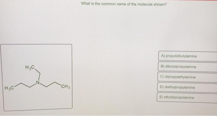 Solved What is the name of this molecule? A) propyl butyl | Chegg.com