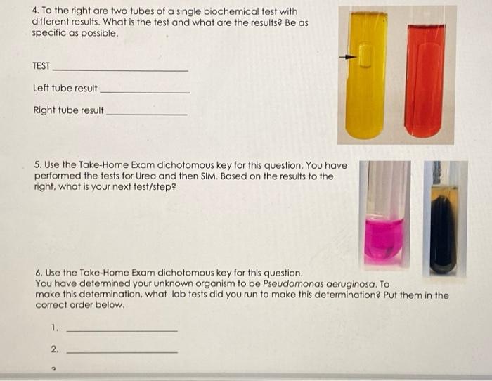 Solved 4. To the right are two tubes of a single biochemical | Chegg.com