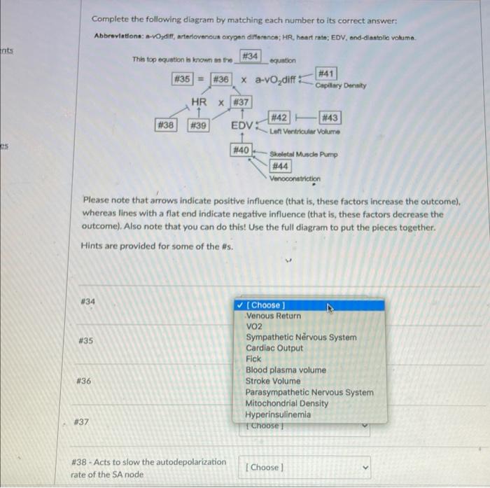 Solved Complete the following diagram by matching each | Chegg.com