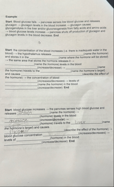 Solved Example:Start: Blood glucose fails → ﻿pancreas senses | Chegg.com