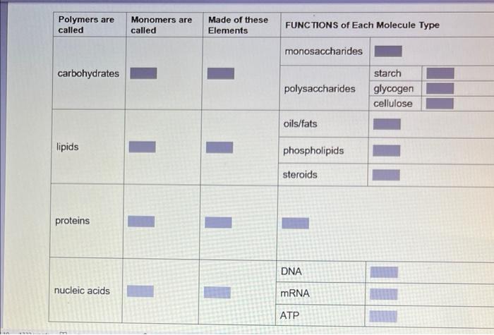 Solved Complete the table below to summarize your | Chegg.com