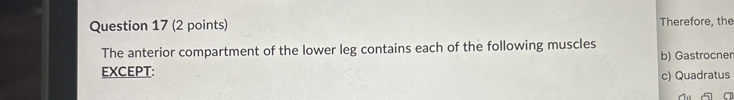 Solved Question 17 (2 ﻿points)Therefore, theThe anterior | Chegg.com