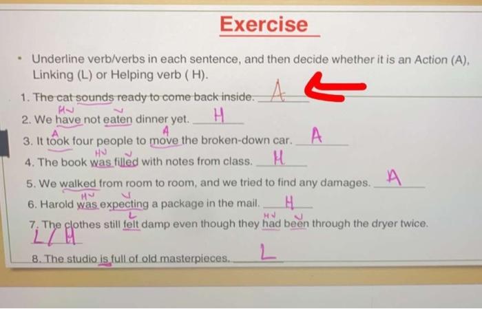 Exercise Underline verb/verbs in each sentence, and | Chegg.com