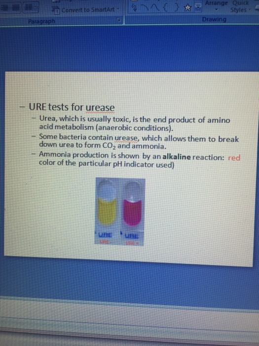 Exercise 8 Use Of The Api 20e System To Identify Gram
