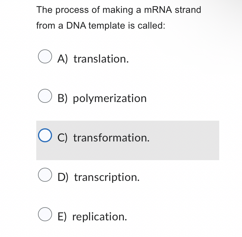 Solved The process of making a mRNA strand from a DNA | Chegg.com