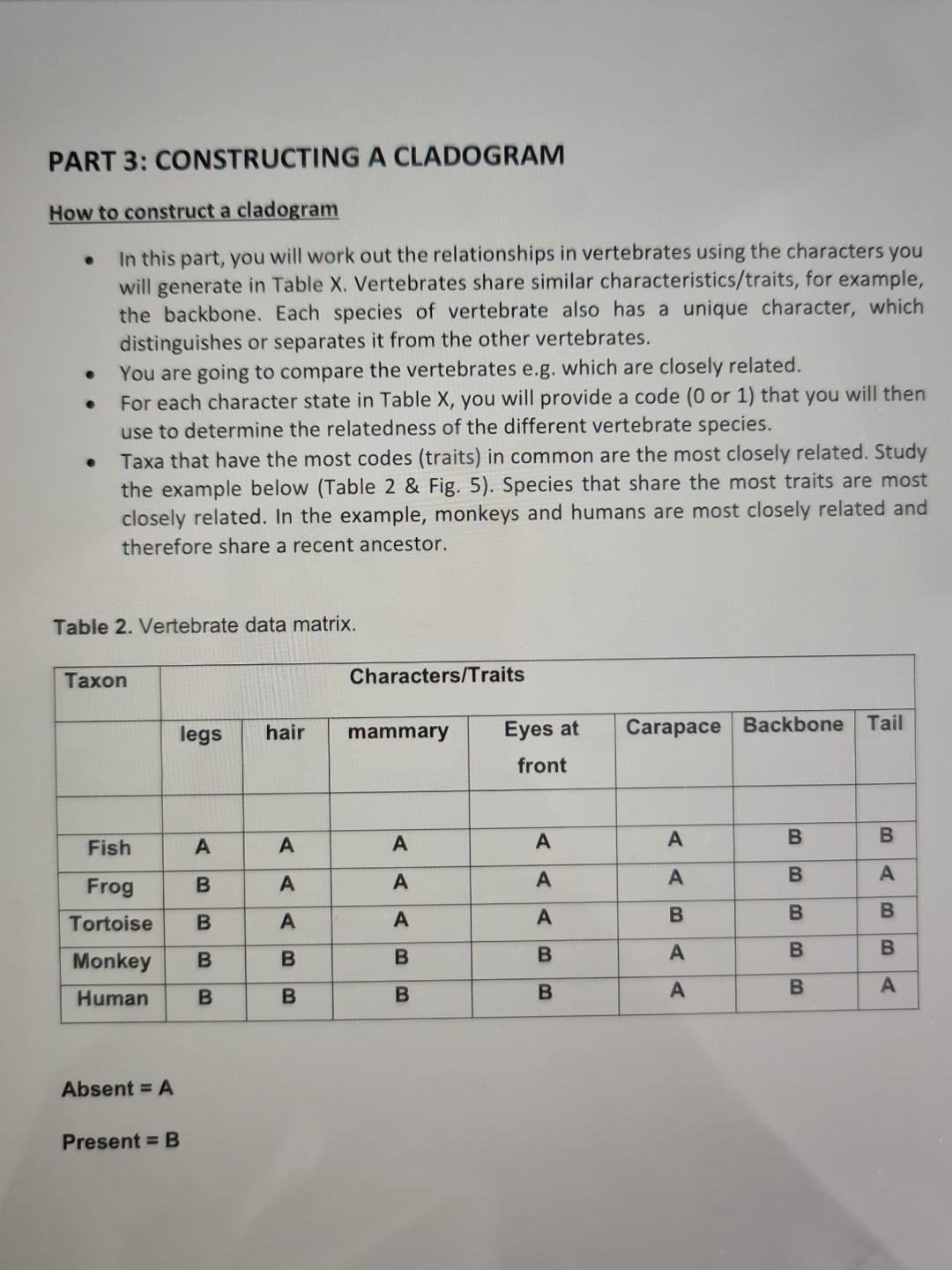 Solved PART 3: CONSTRUCTING A CLADOGRAM How to construct a | Chegg.com Solved PART 3: CONSTRUCTING A CLADOGRAM How to construct a | Chegg.com