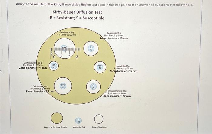 Solved Analyze the results of the Kirby-Bauer disk diffusion | Chegg.com