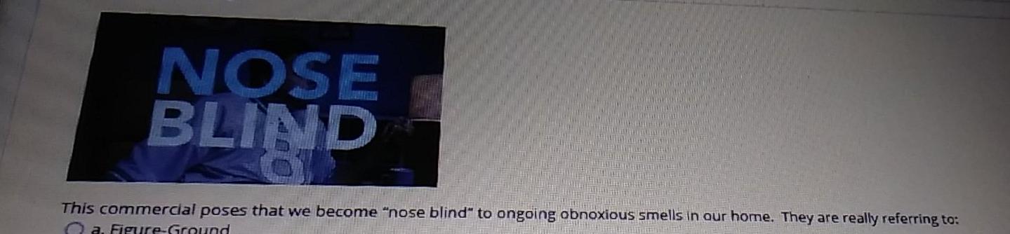 NOSE BLIND This commercial poses that we become "nose | Chegg.com