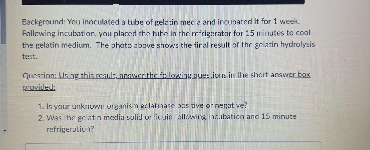 Solved Background: You inoculated a tube of gelatin media | Chegg.com