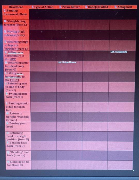 Solved Please help me figure out this chart. Thank you!! | Chegg.com Solved Please help me figure out this chart. Thank you!! | Chegg.com