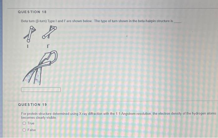 Solved QUESTION 18 Beta turn (B-turn) Type I and I are shown | Chegg.com