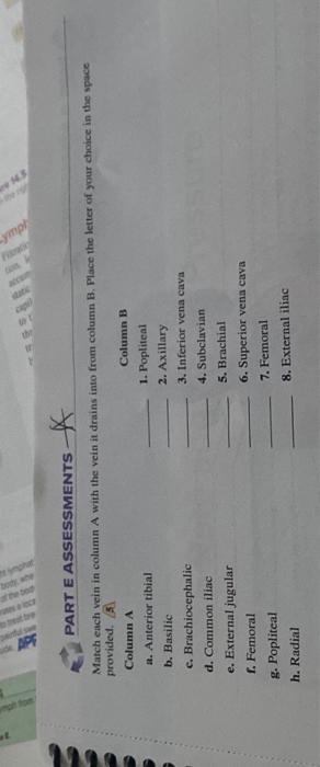 Solved PART A ASSESSMENTS Complete the following statemenis: | Chegg.com