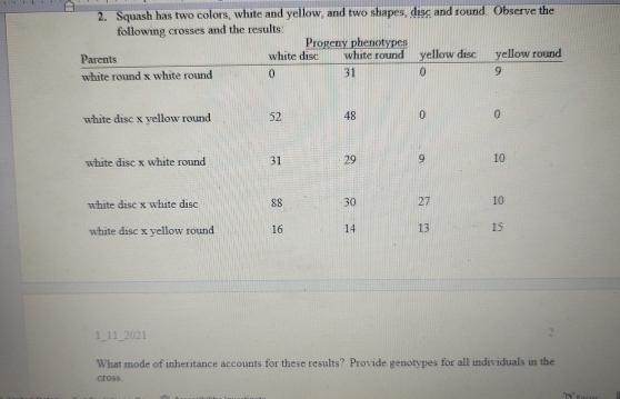 Solved Squash has two colors, white and yellow, and two | Chegg.com
