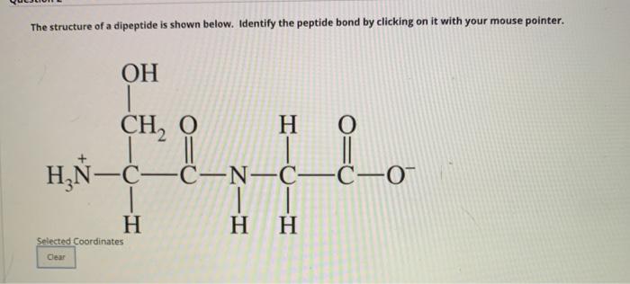 Solved The structure of a dipeptide is shown below. Identify | Chegg.com