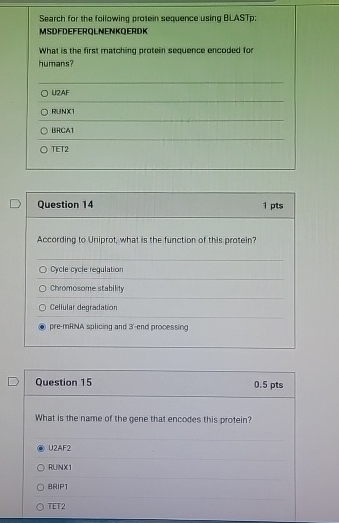 Solved Search for the following protein sequence using B | Chegg.com