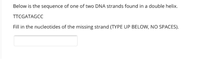Solved Below is the sequence of one of two DNA strands found | Chegg.com